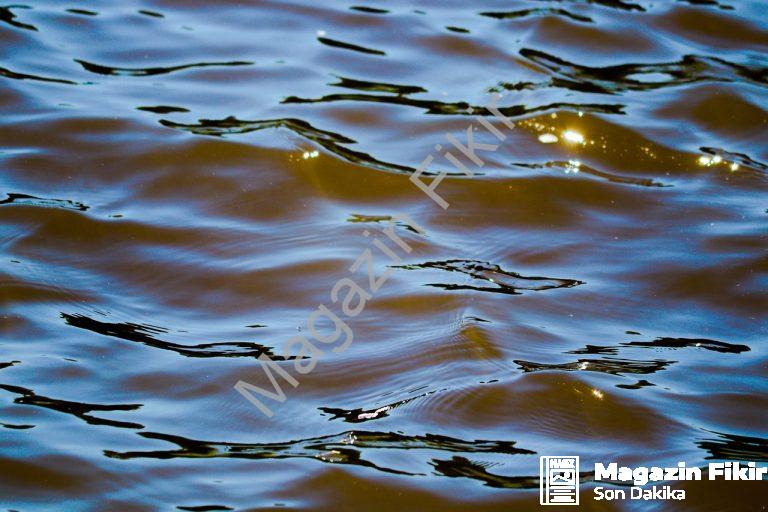 Morfik Rezonans: Bilinmeyen Doğanın Sırları - Magazin Fikir