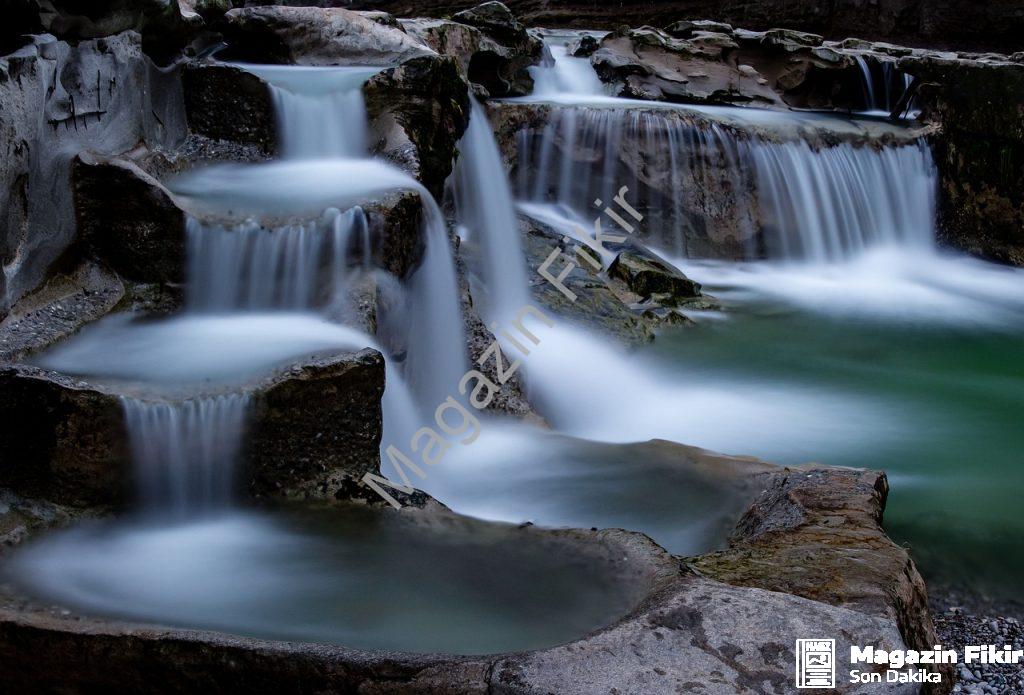 Morfik Rezonans: Doğanın İlginç Sırrı - Magazin Fikir